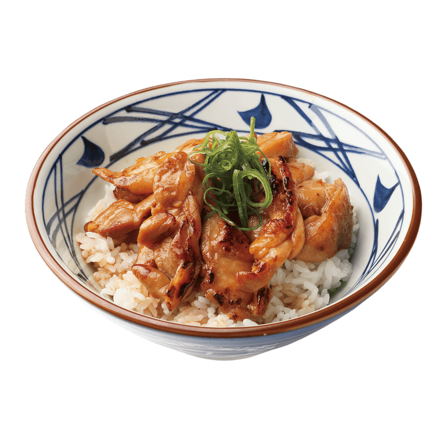 Rice Bowls – Marugame Udon & Tempura Philippines